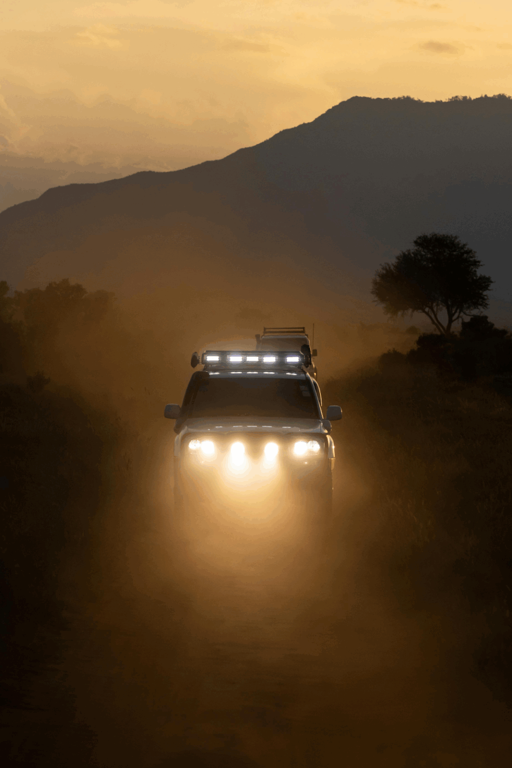 Types of Fog Light Explained: Choosing the Right Option for Your Car ...
